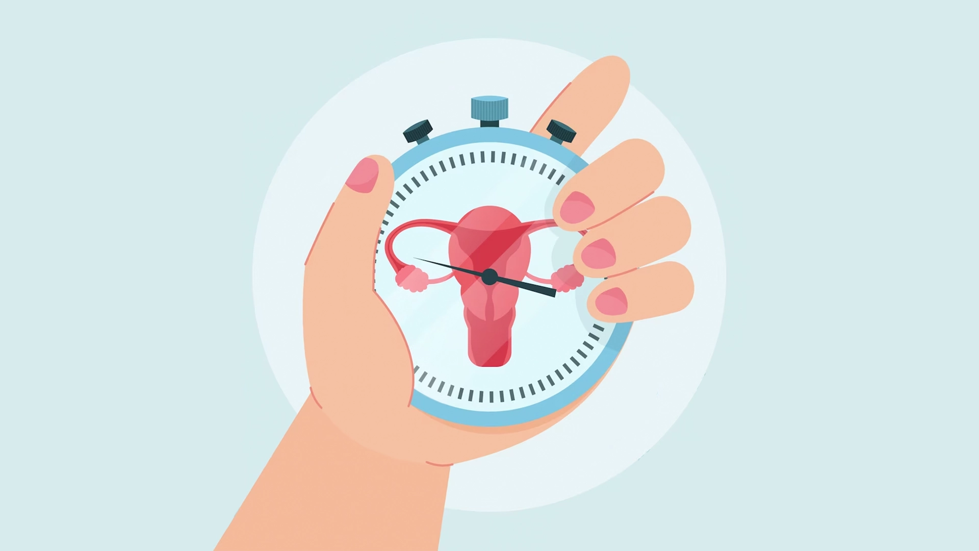 Understanding the Normal Menstrual Cycle: Phases, Duration, and Signs ...
