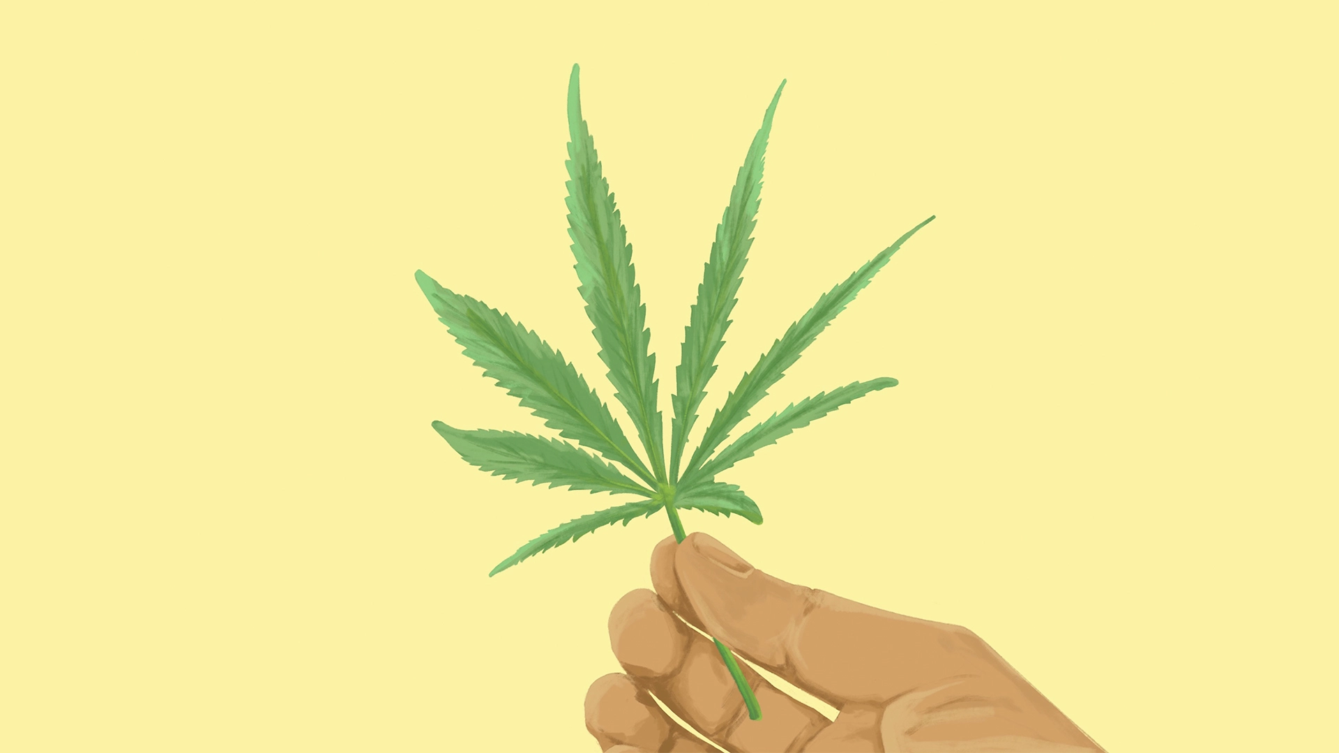 Dangers of Cannabis Abuse: Risks and Effects | Meri Sehat