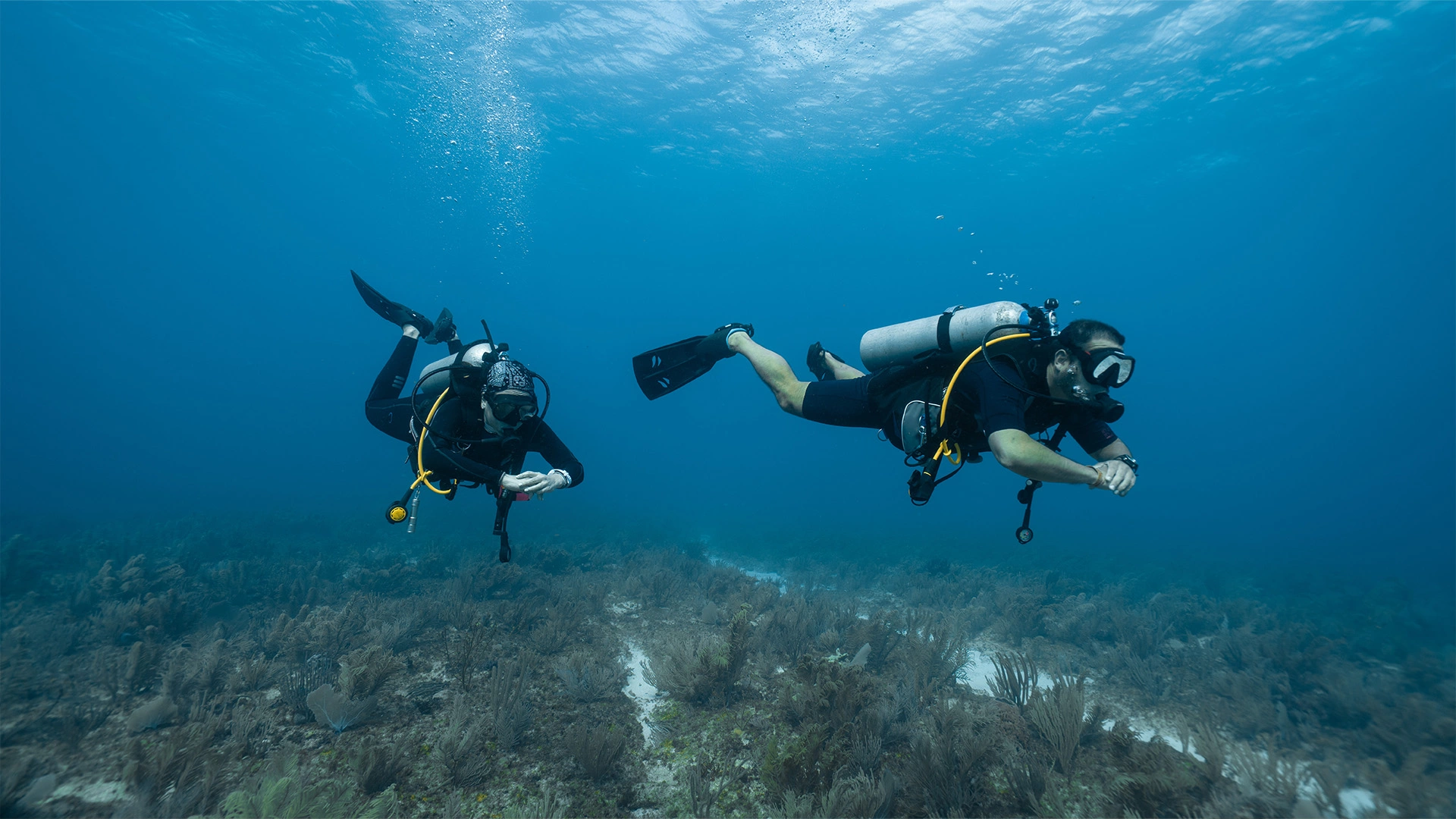 A Beginner's Guide to Scuba Diving in Pakistan - Tips & Tricks